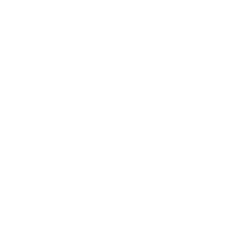Einphasen-Transformatoren – Marxtrafo